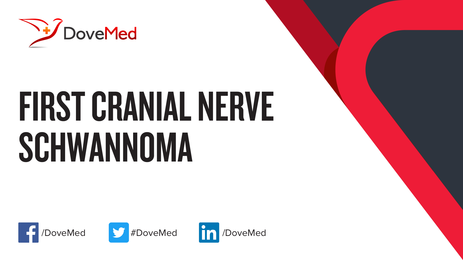 First Cranial Nerve Schwannoma