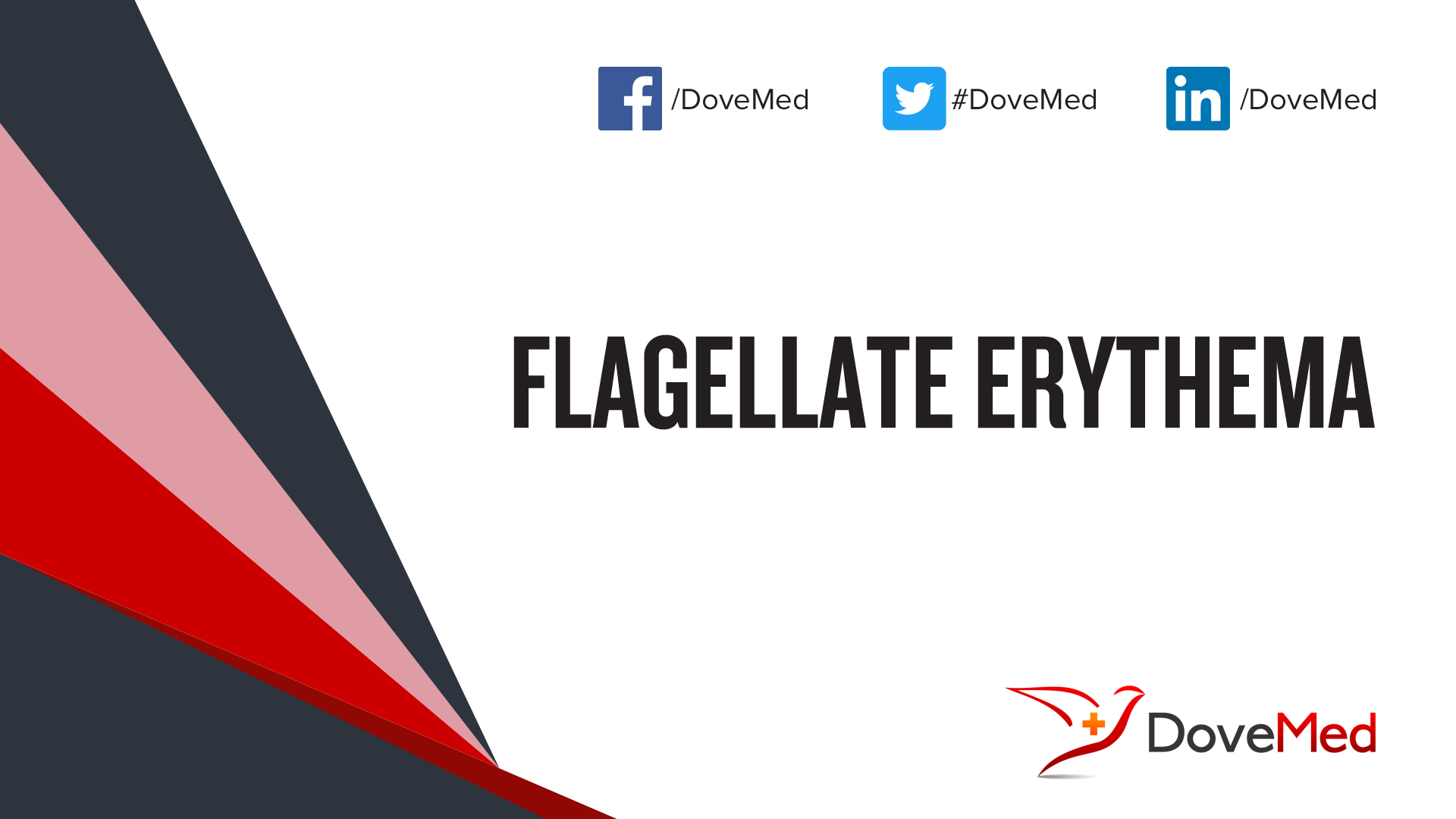 Flagellate Erythema