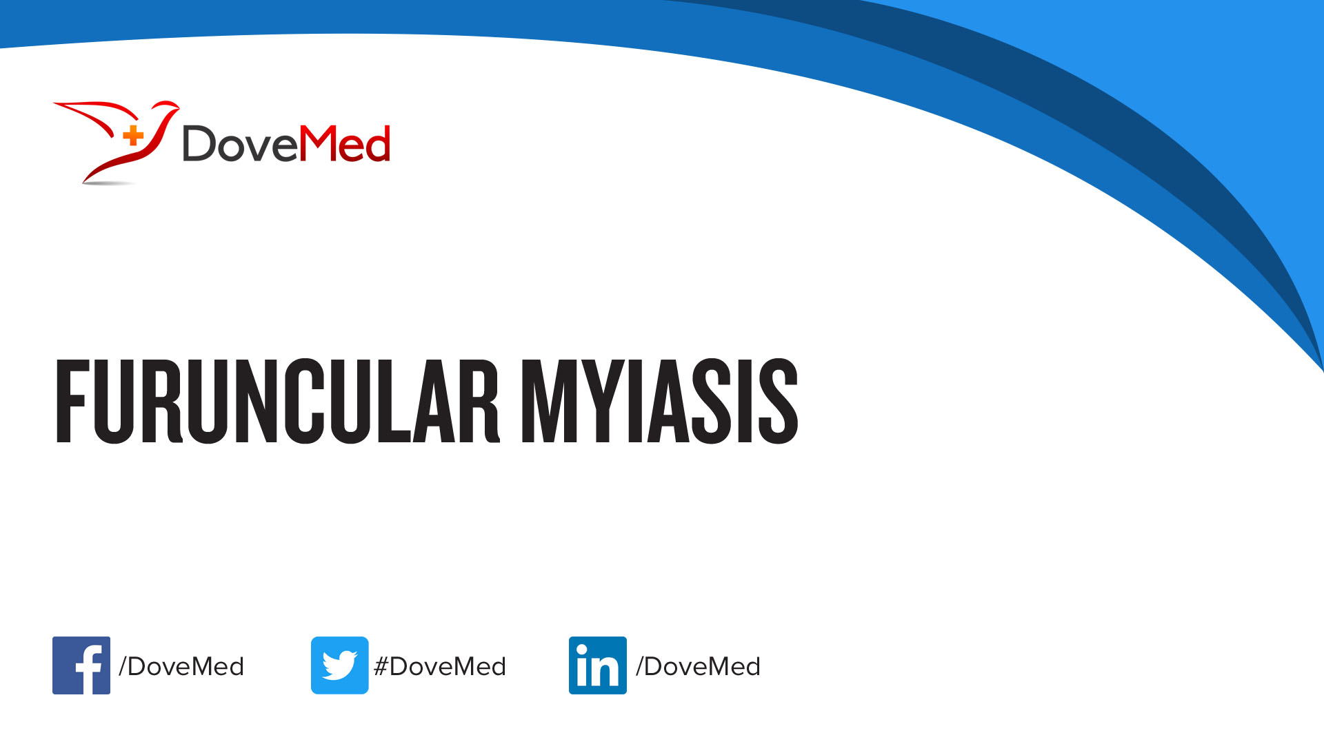 Furuncular Myiasis