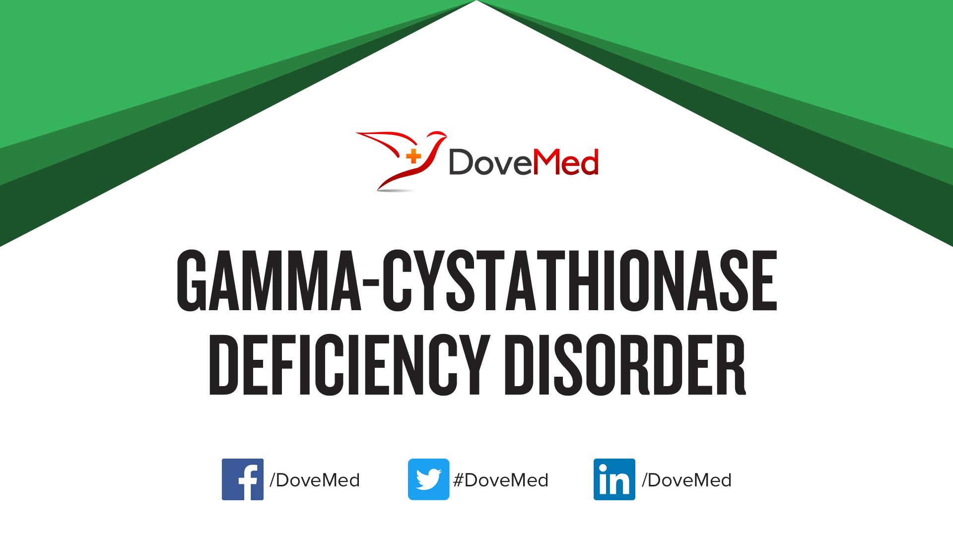 Gamma-Cystathionase Deficiency Disorder