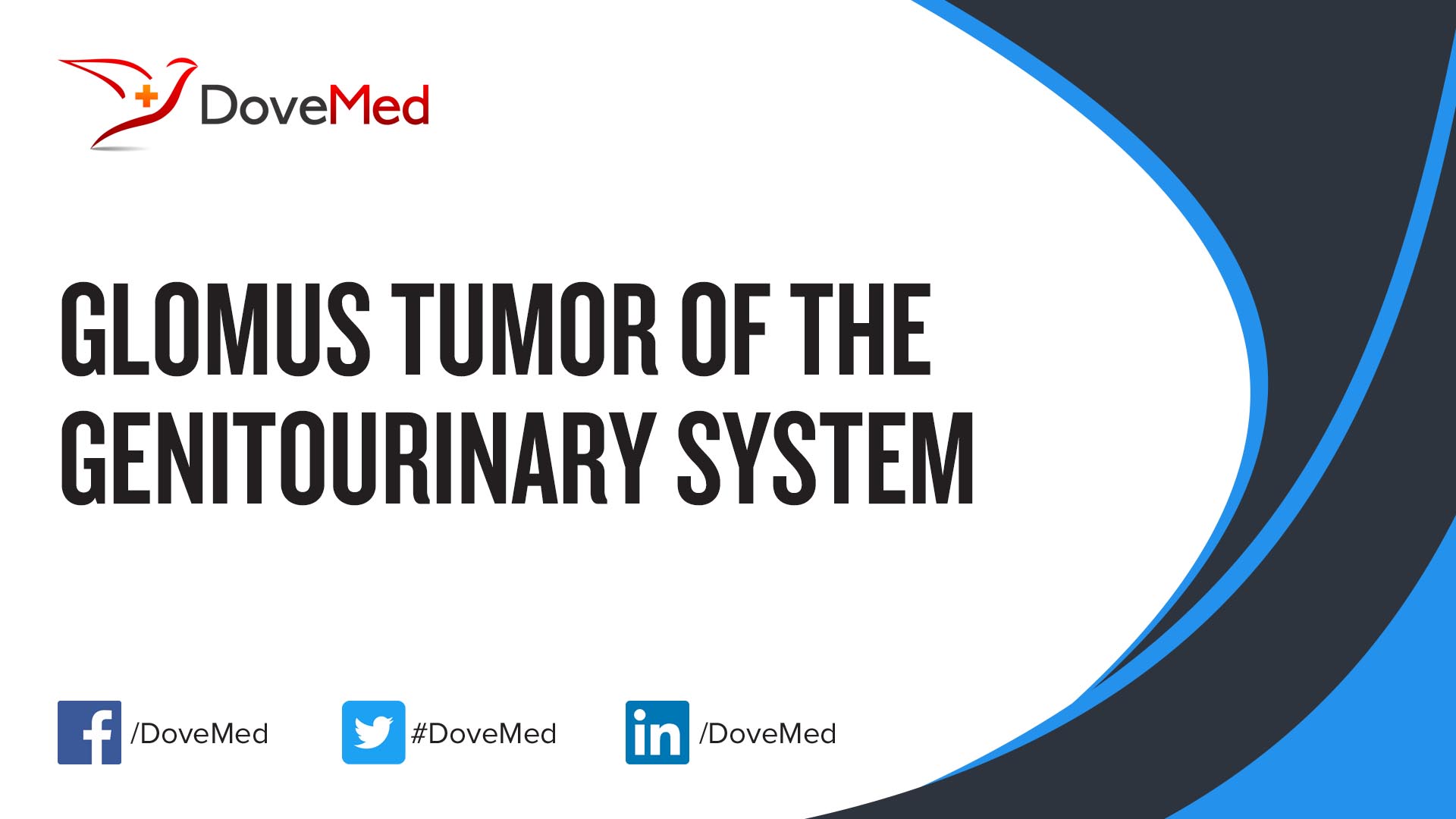 Glomus Tumor of the Genitourinary System