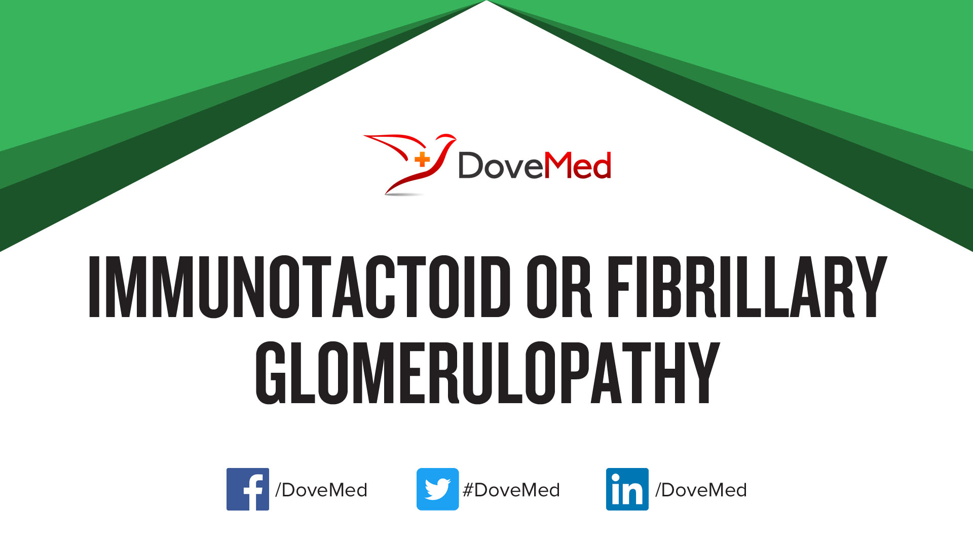 Immunotactoid or Fibrillary Glomerulopathy