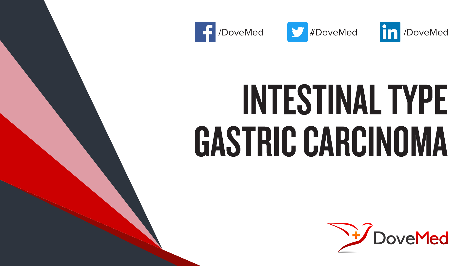 Intestinal Type Gastric Carcinoma
