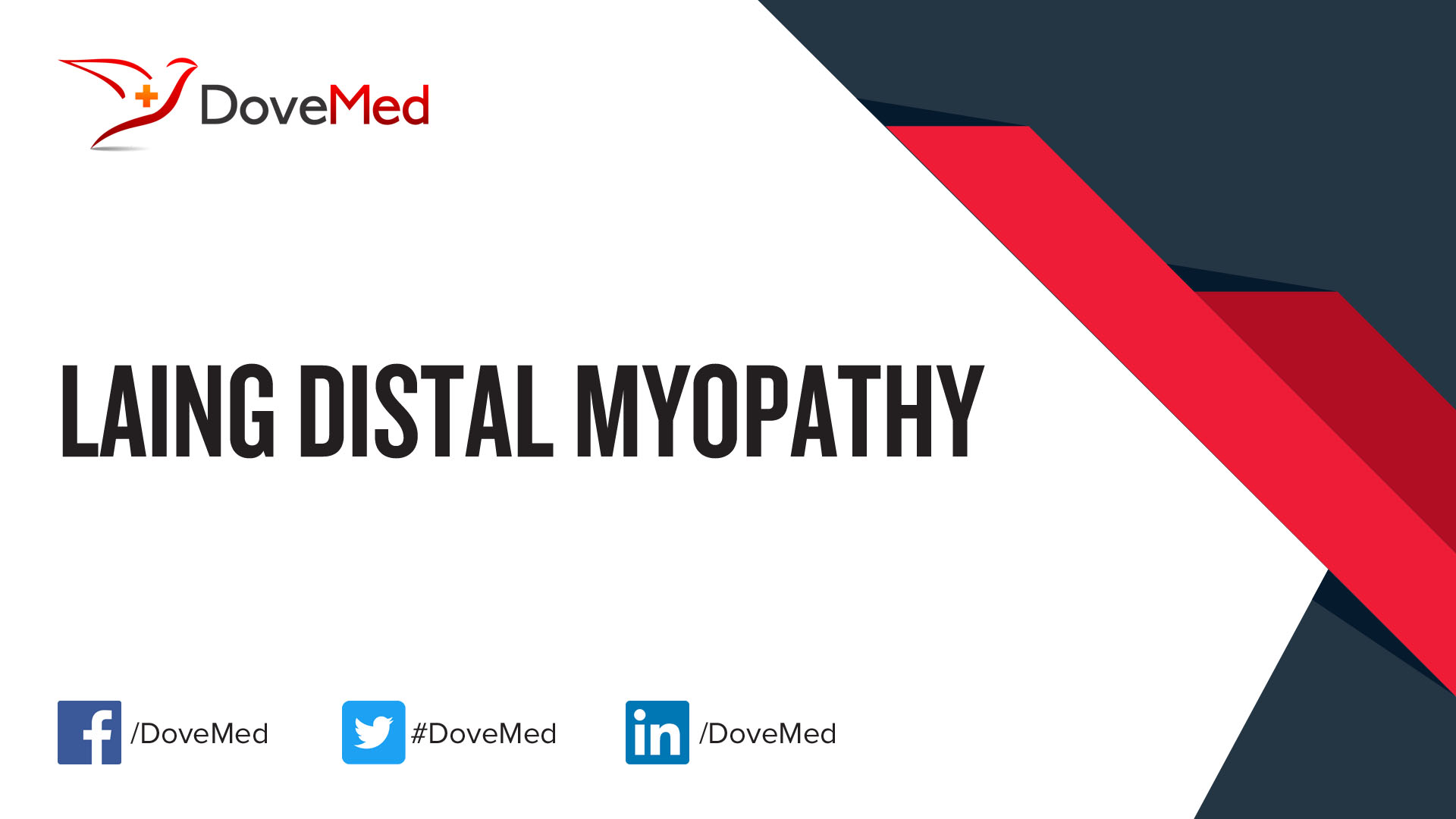 Laing Distal Myopathy