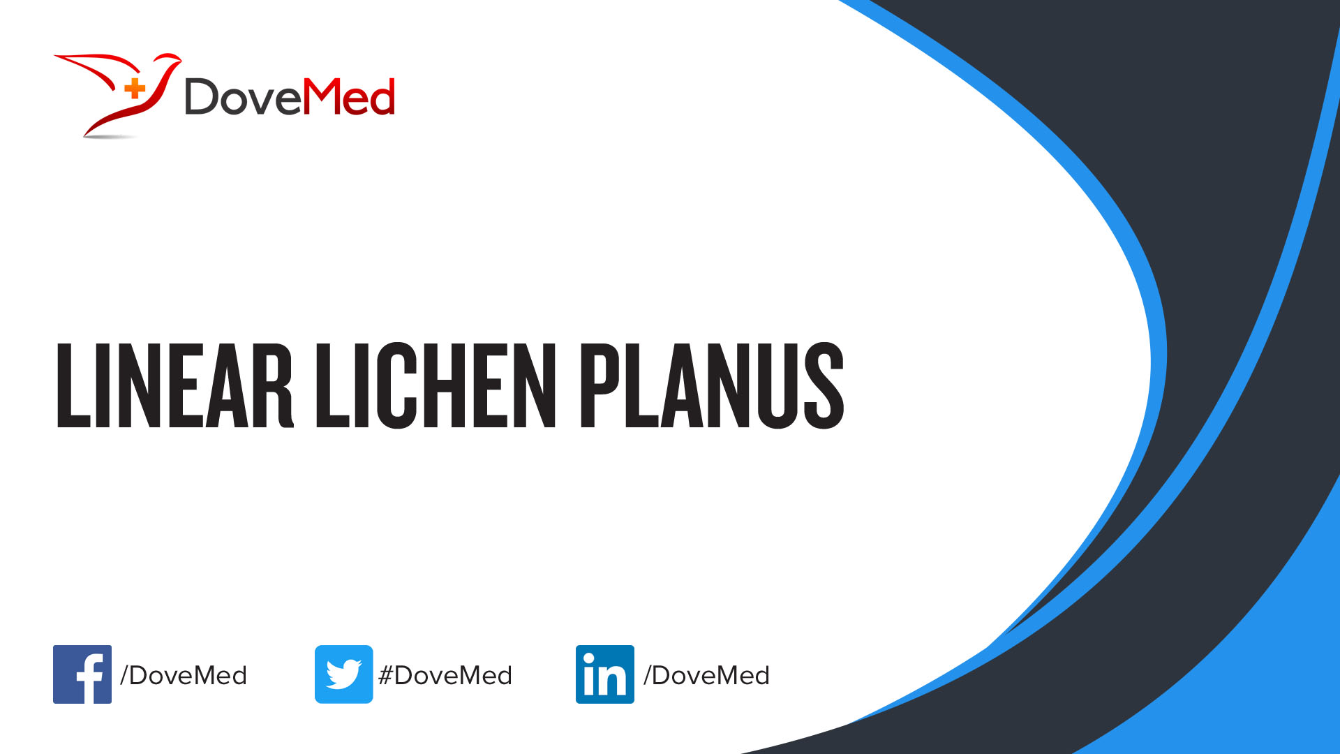 Linear Lichen Planus
