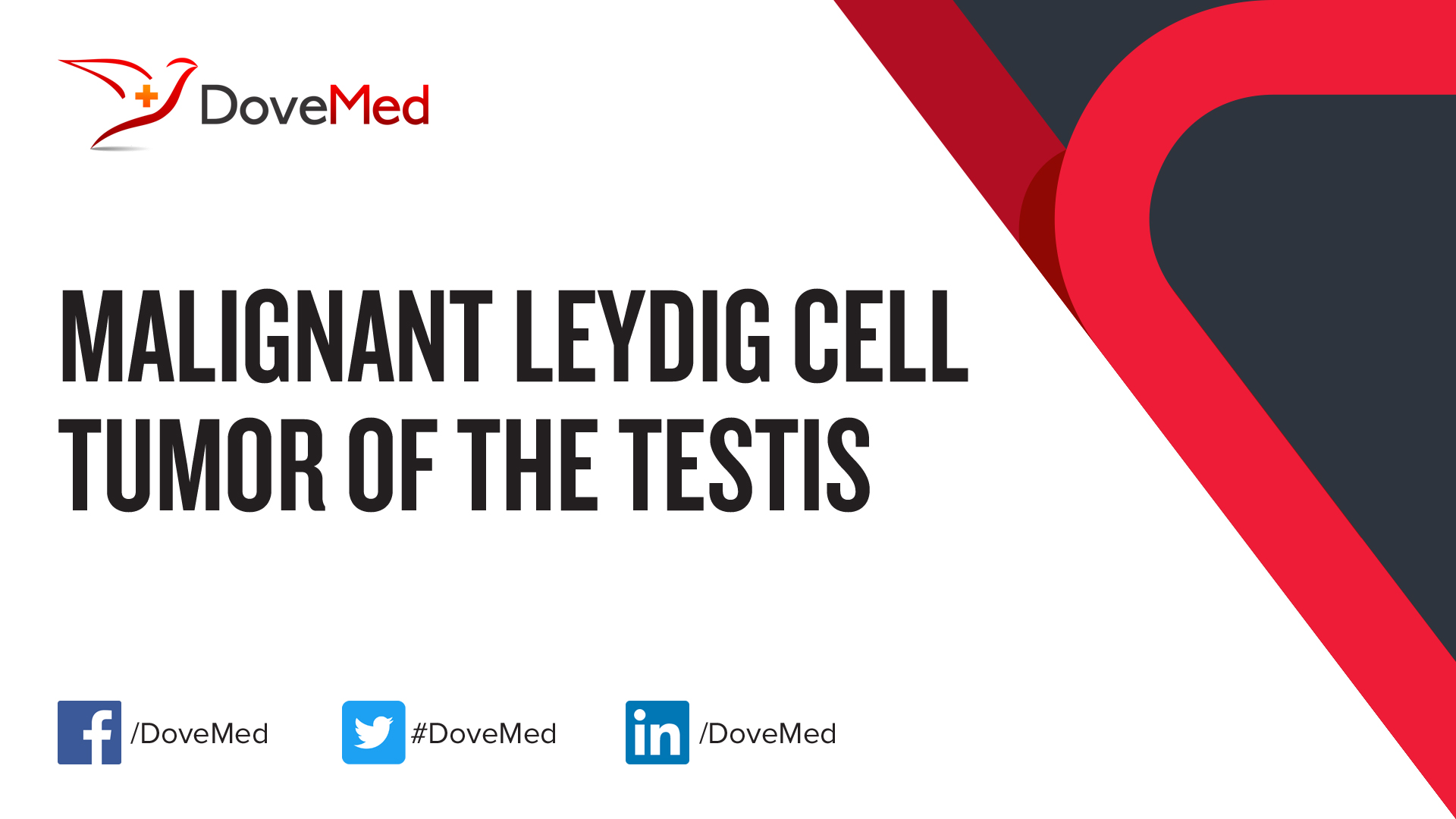 Malignant Leydig Cell Tumor Of The Testis
