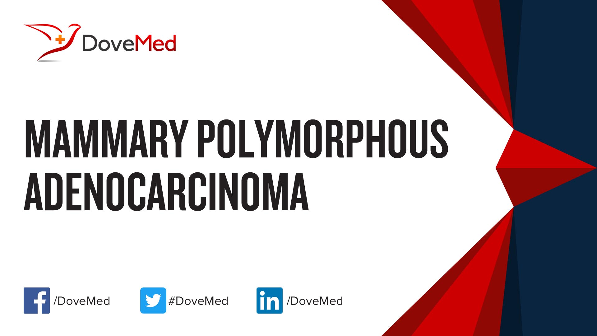 Mammary Polymorphous Adenocarcinoma