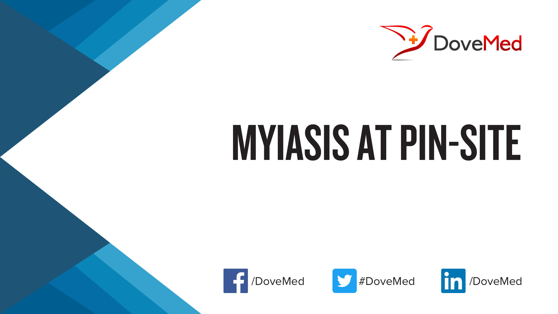 Myiasis at Pin-Site