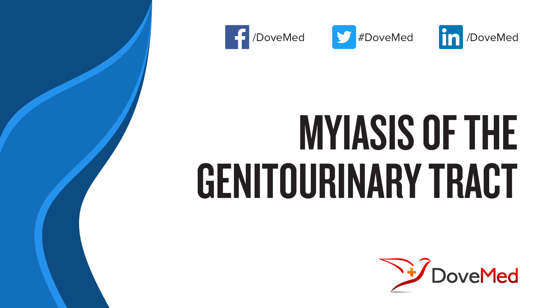 Myiasis of the Genitourinary Tract