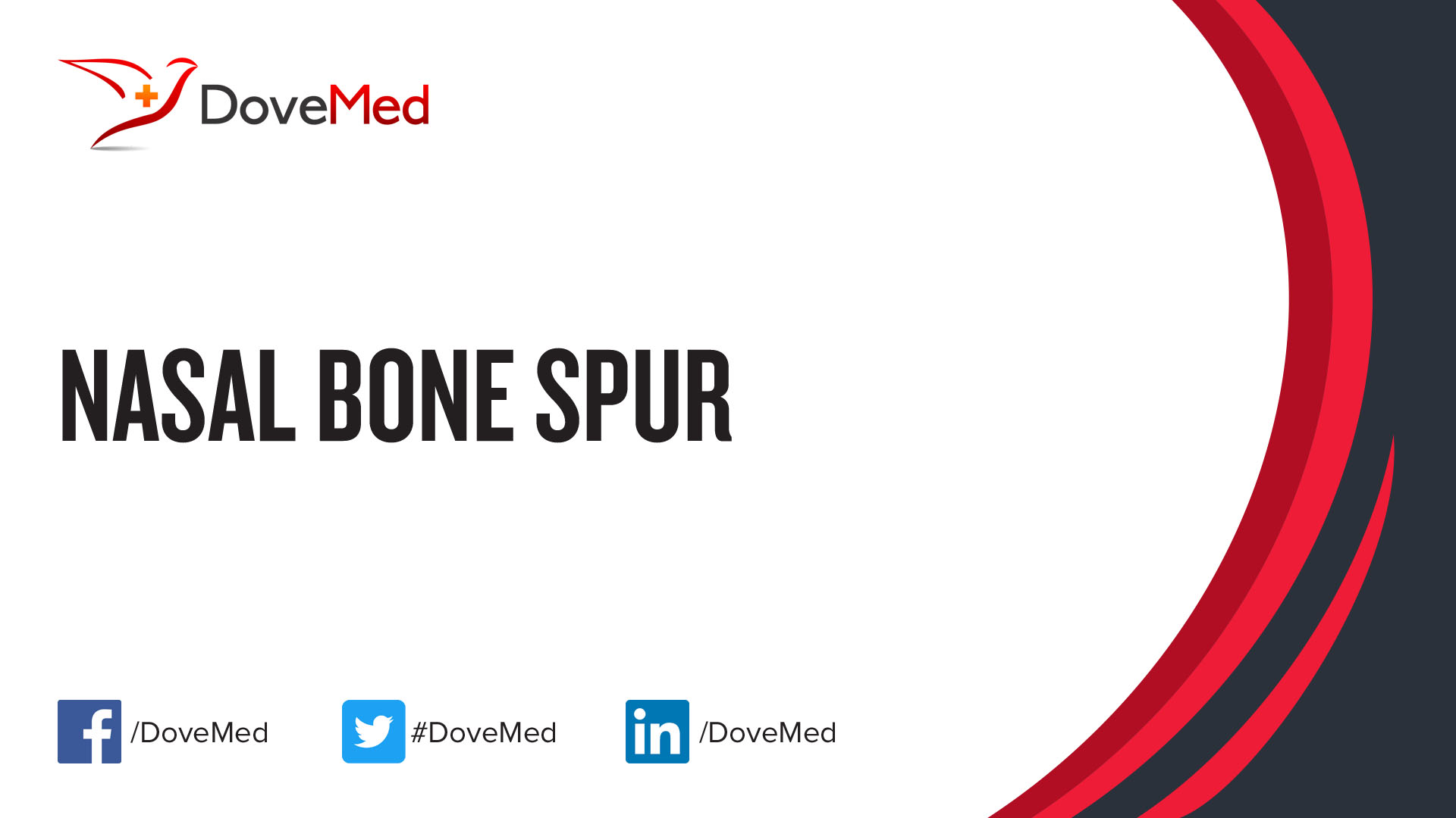 Nasal Bone Spur