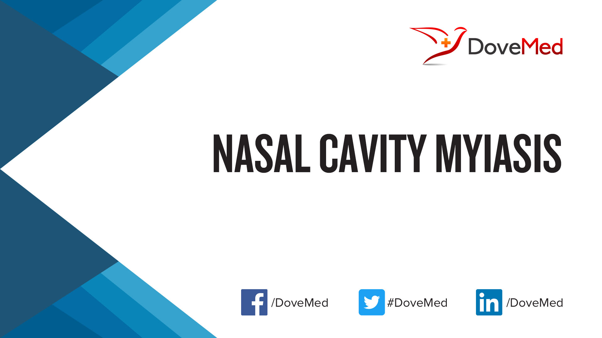 Nasal Cavity Myiasis