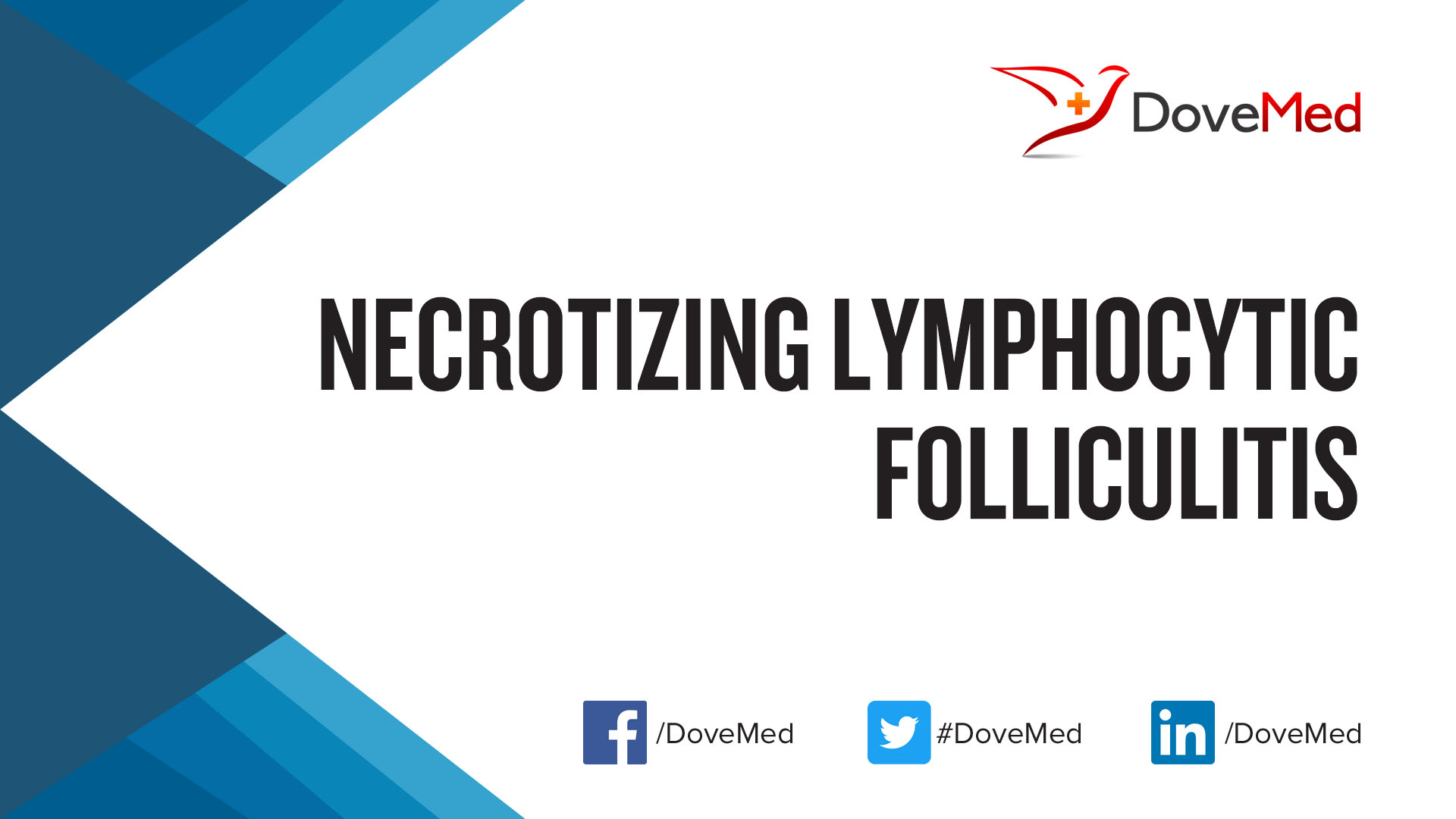 Necrotizing Lymphocytic Folliculitis