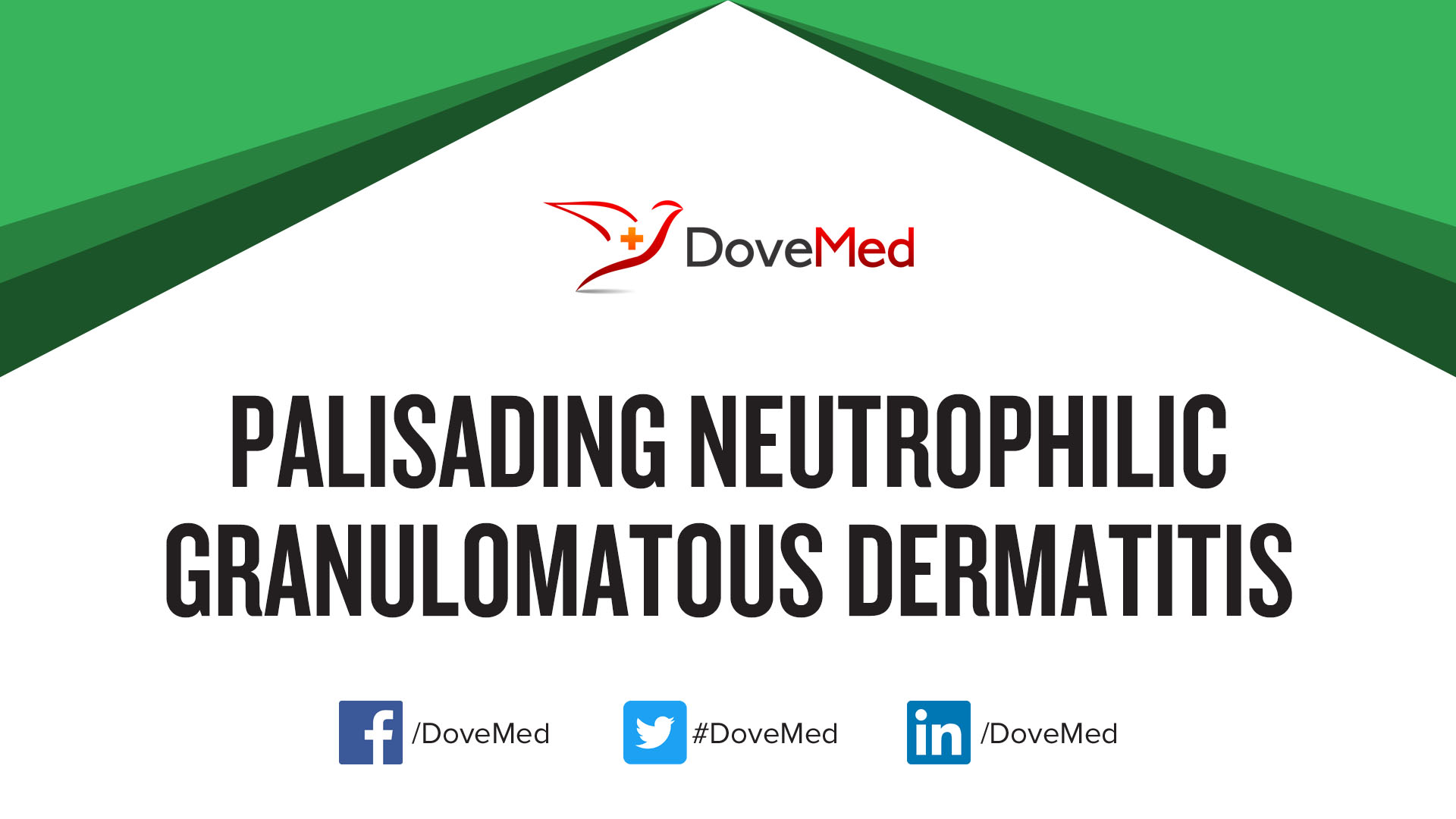 Palisading Neutrophilic Granulomatous Dermatitis