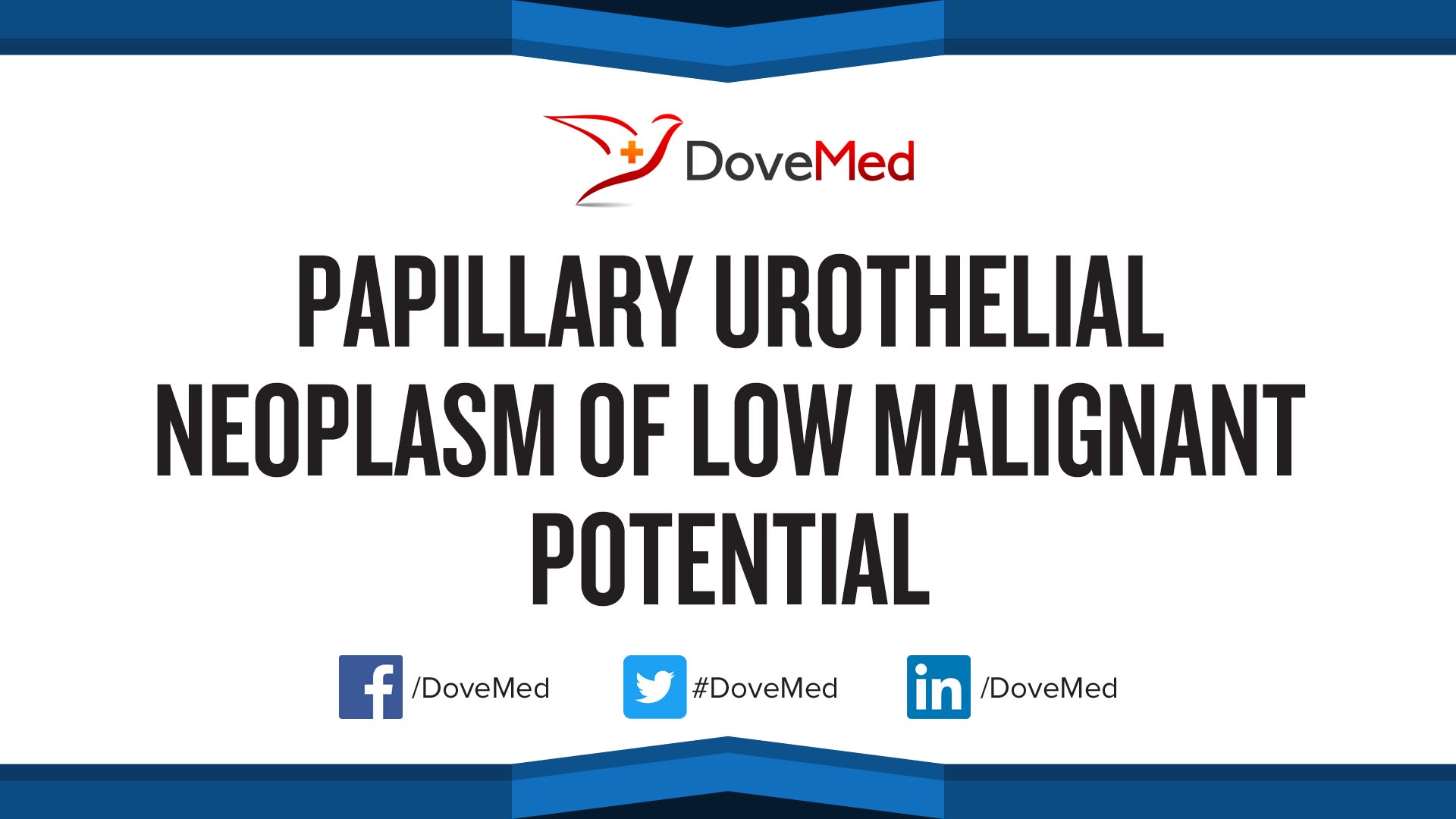 Papillary Urothelial Neoplasm of Low Malignant Potential