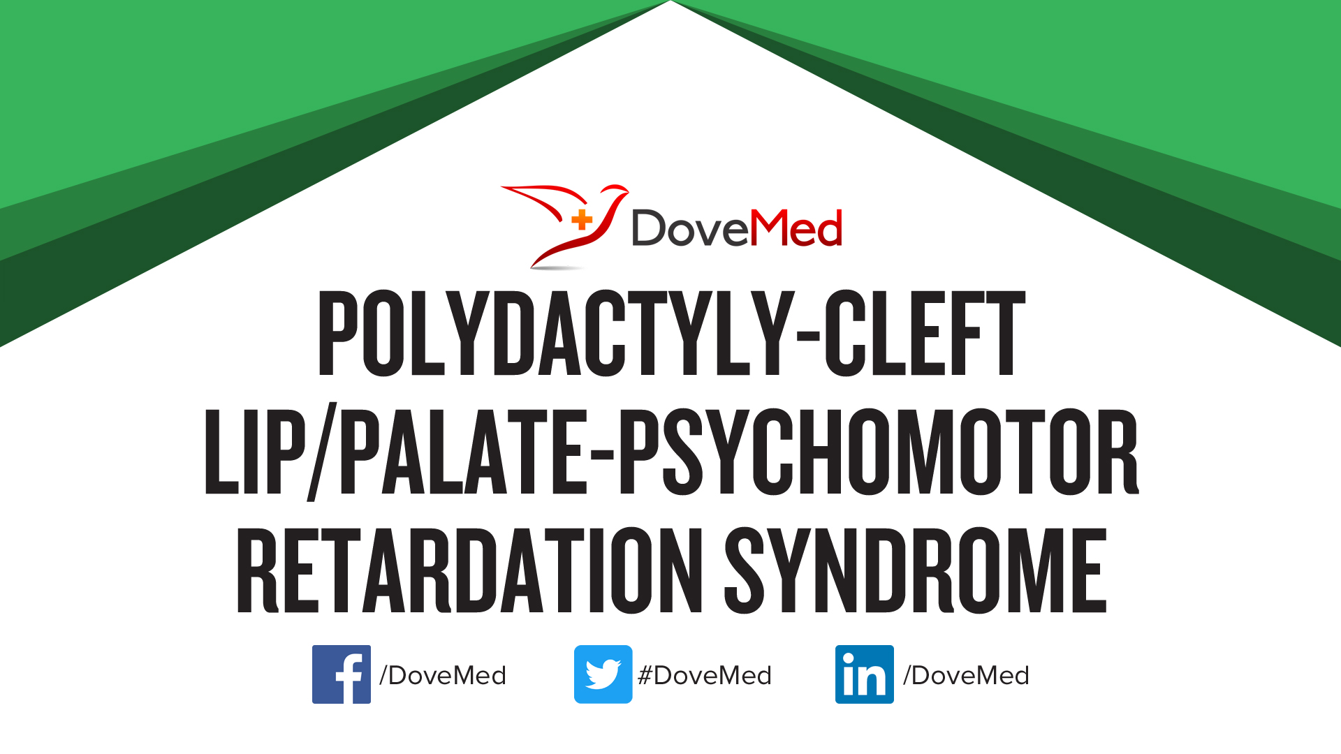 Polydactyly-Cleft Lip/Palate-Psychomotor Retardation Syndrome