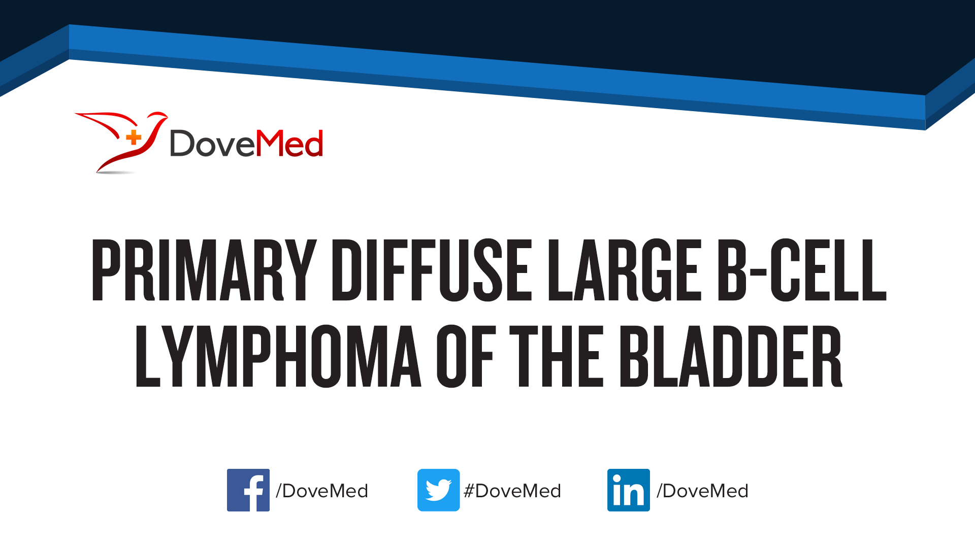 Primary Diffuse Large B-Cell Lymphoma of the Bladder