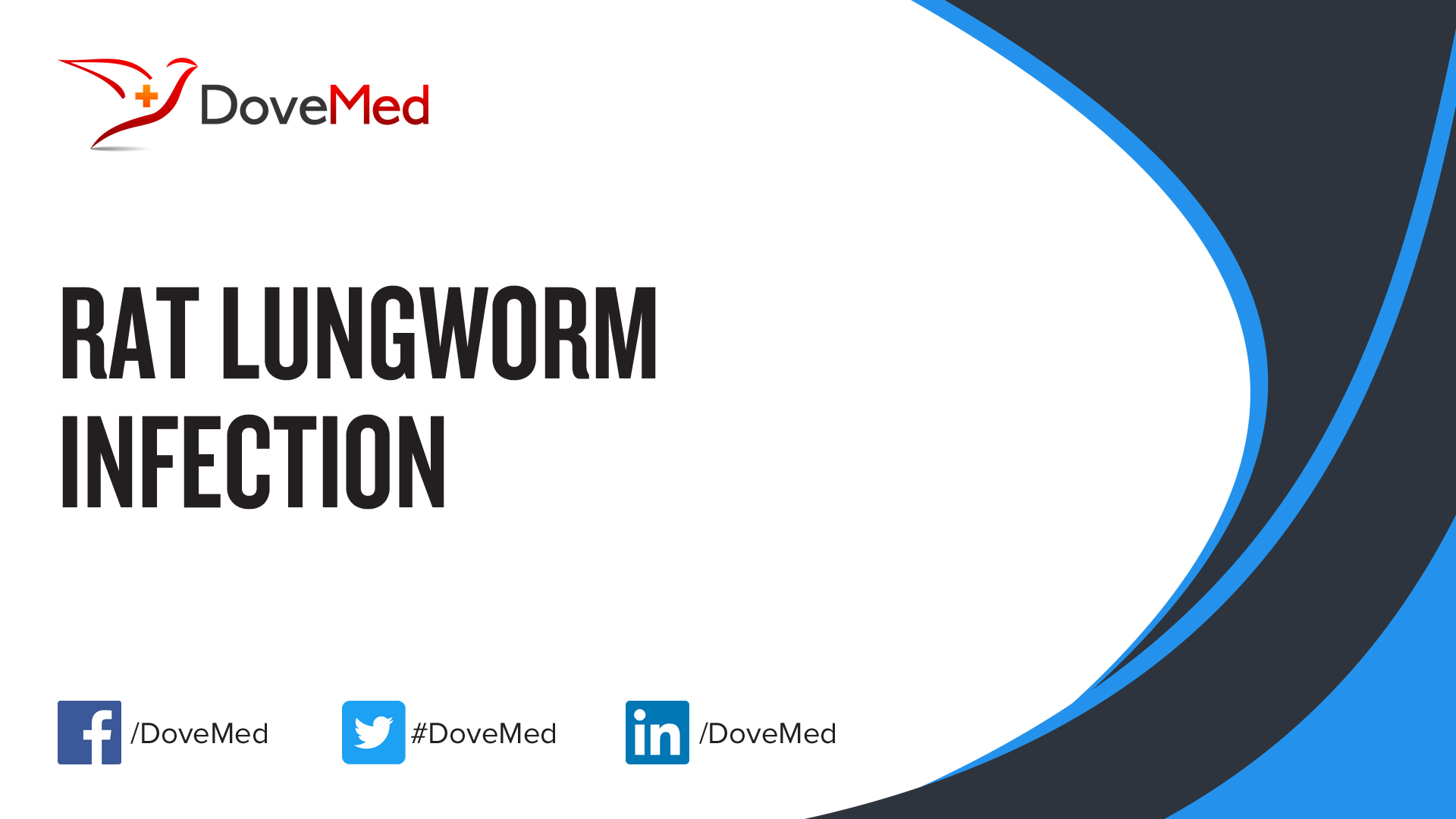 Rat Lungworm Infection