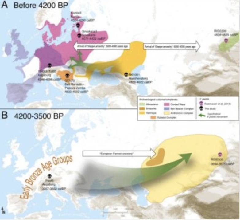 Plague Likely A Stone Age Arrival To Central Europe
