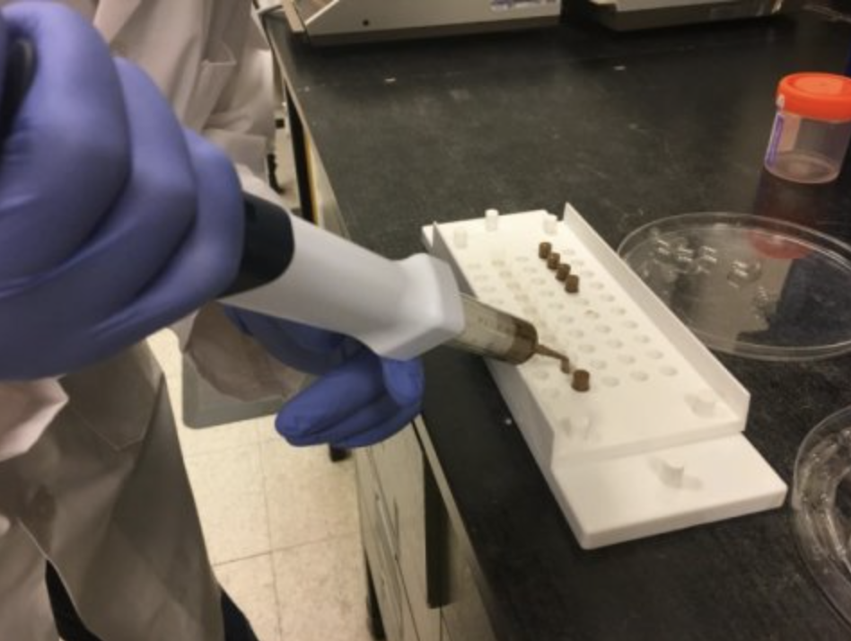 'Poop Pill' Capsule Research Paves The Way For Simpler C. Difficile ...