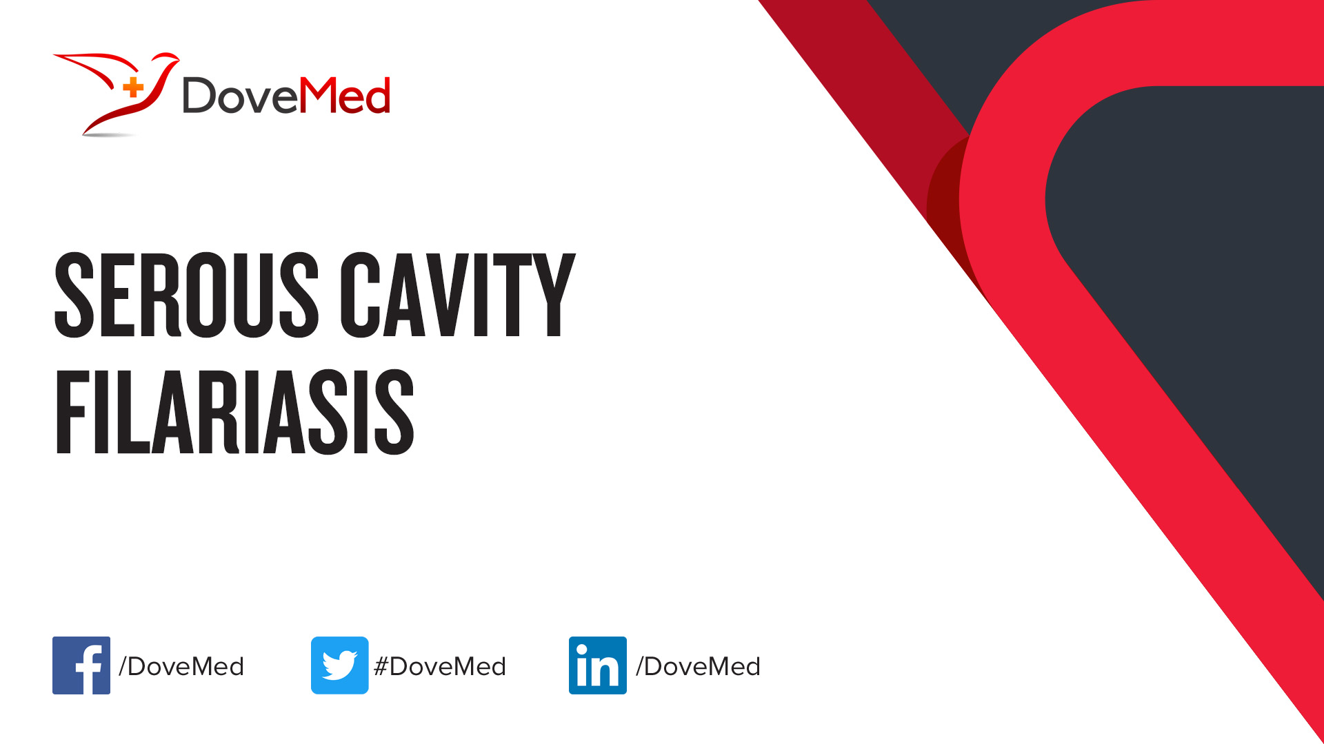 Serous Cavity Filariasis