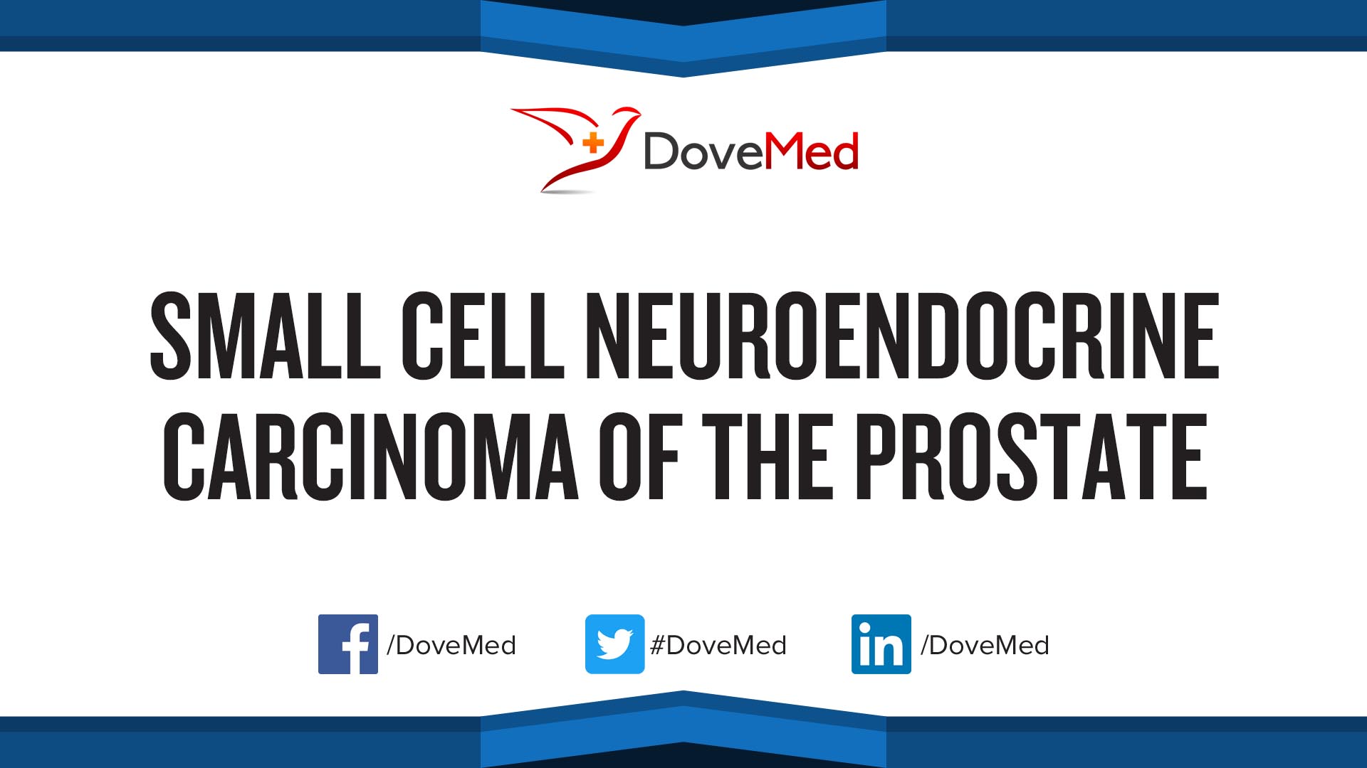 Small Cell Neuroendocrine Carcinoma of the Prostate