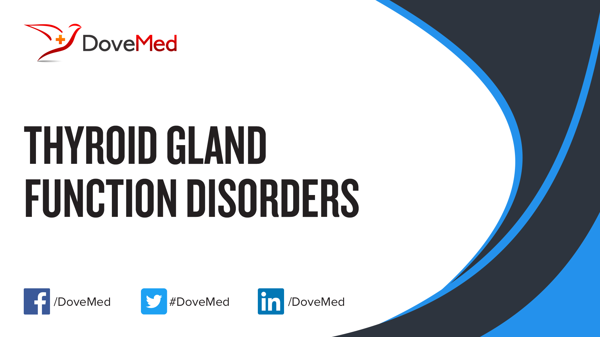Thyroid Gland Function Disorders Thyroid Gland Function Disorders