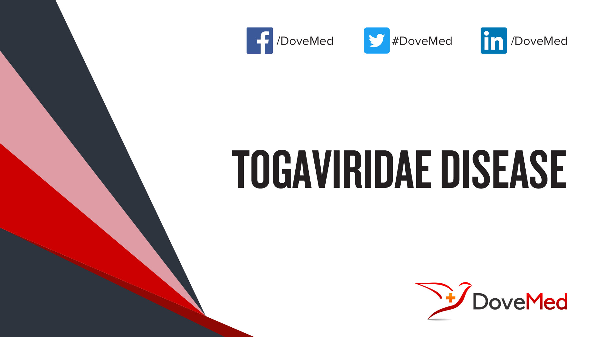 Togaviridae Disease