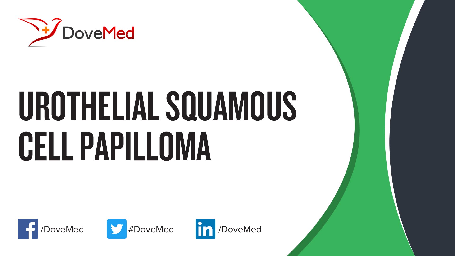 Urothelial Squamous Cell Papilloma