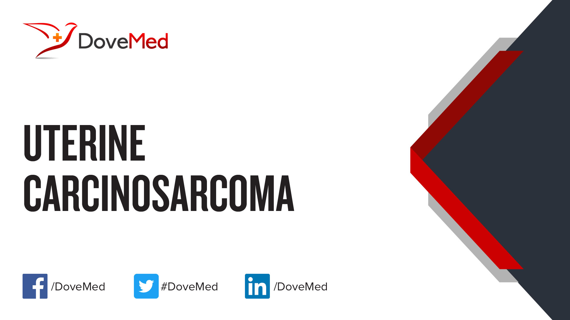 Uterine Carcinosarcoma