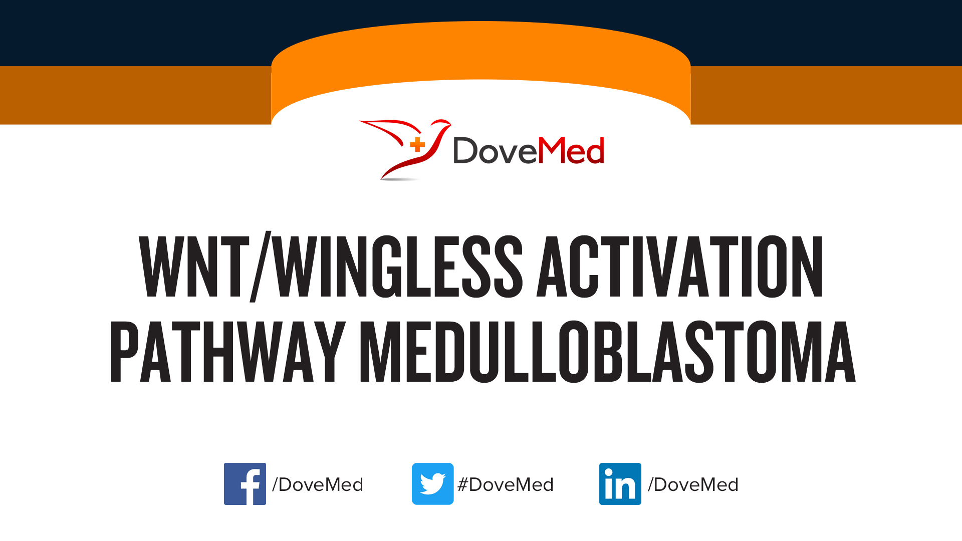 WNT/Wingless Activation Pathway Medulloblastoma