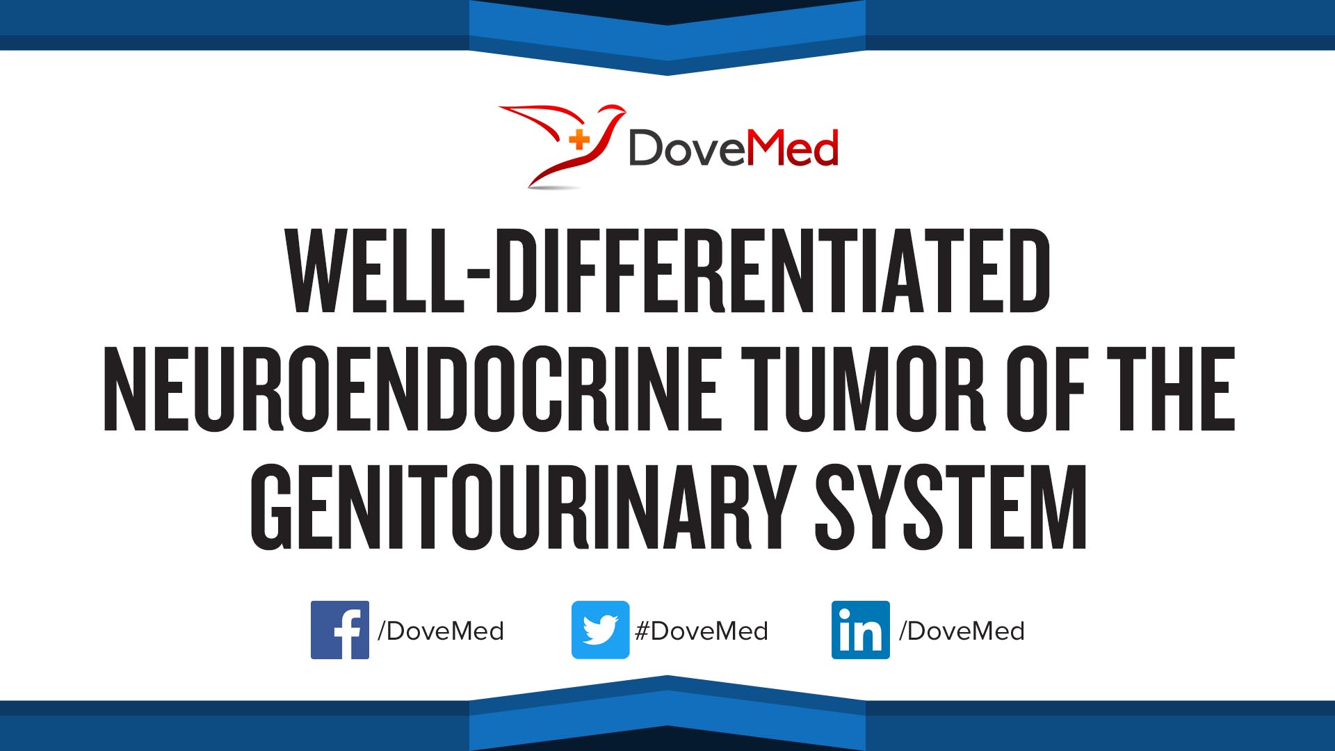 Well-Differentiated Neuroendocrine Tumor of the Genitourinary System