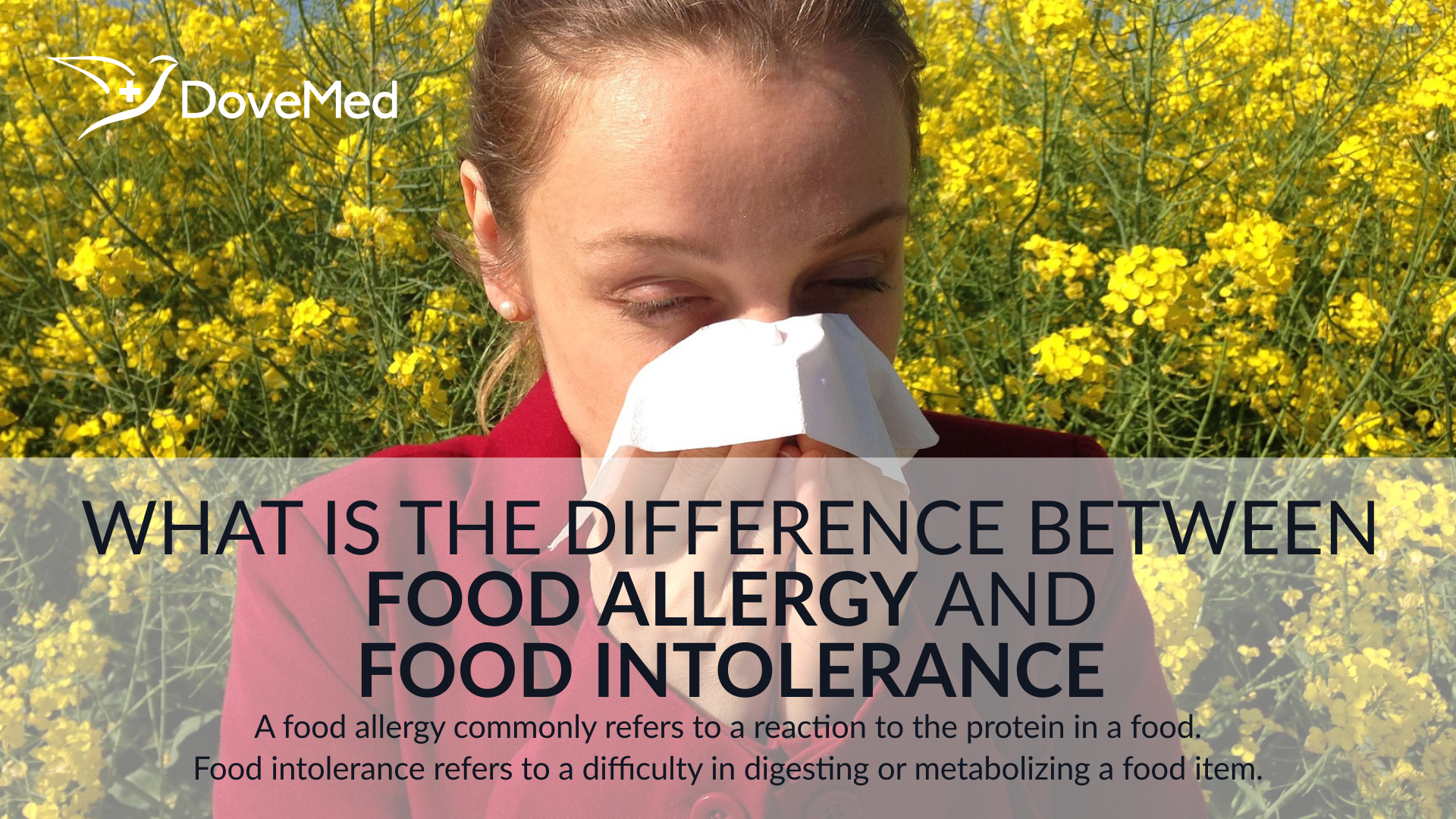 What Is The Difference Between A Food Allergy And Food Intolerance?