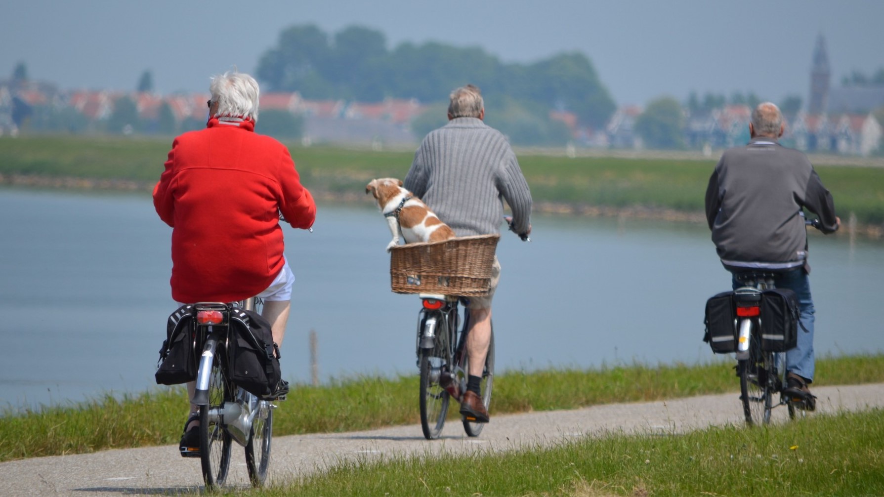 Proper Exercise Can Reverse Damage From Heart Aging